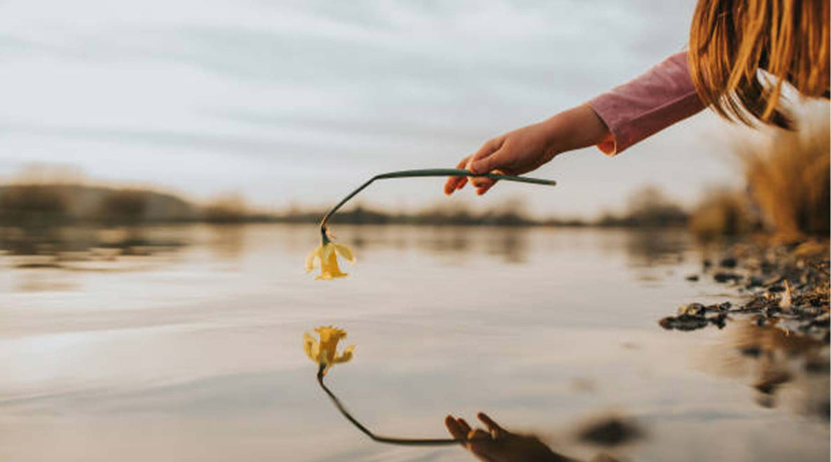5 Modern Water Burial Urns | Urns For Angels