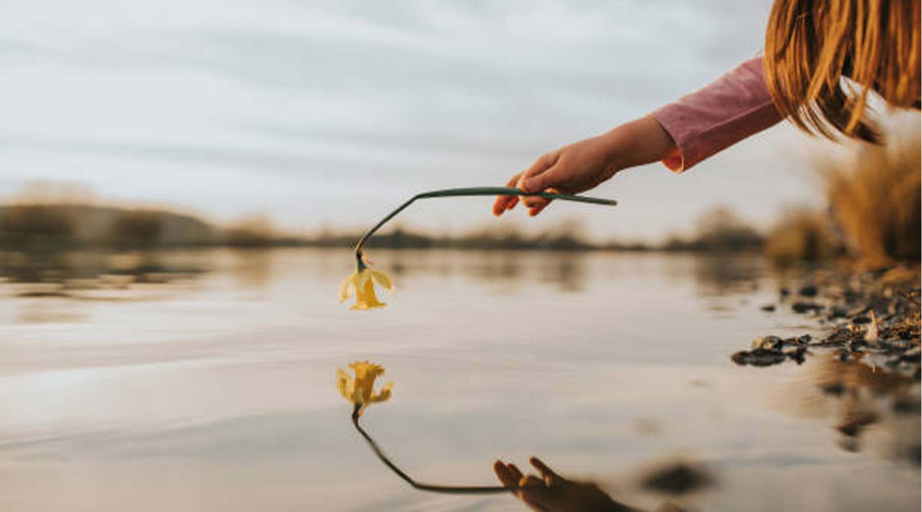 5 Modern Water Burial Urns | Urns For Angels